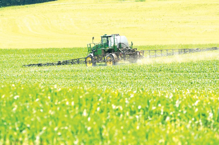 Rain slows sweet corn crop | News, Sports, Jobs - Altoona Mirror